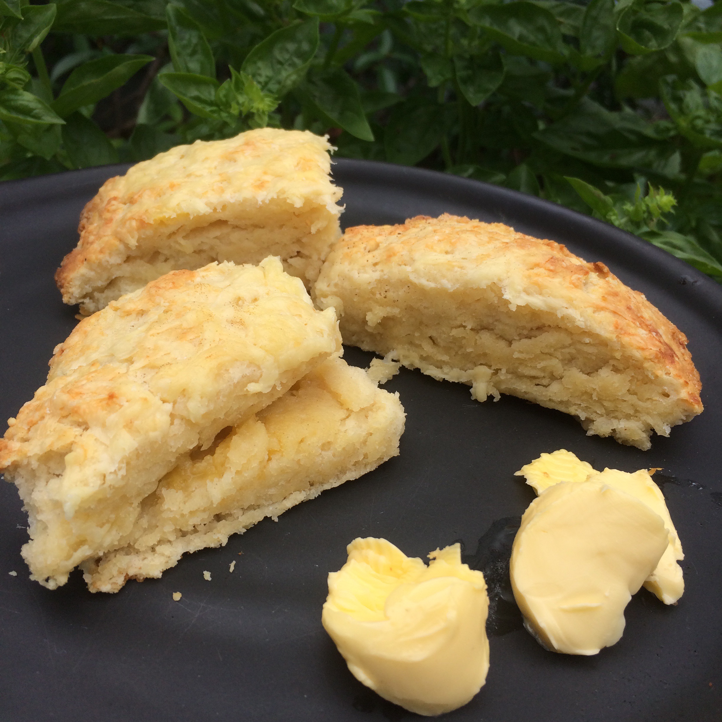 Cheese Scones – TRACEY'S KITCHEN